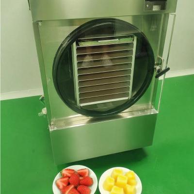 China SUS304 Stainless Steel Shell Small Freeze Dryer for Fast and Precise Drying Process for sale