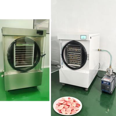 中国 コンパクトホーム冷凍乾燥機 グラフェン -70C 冷凍罠 販売のため