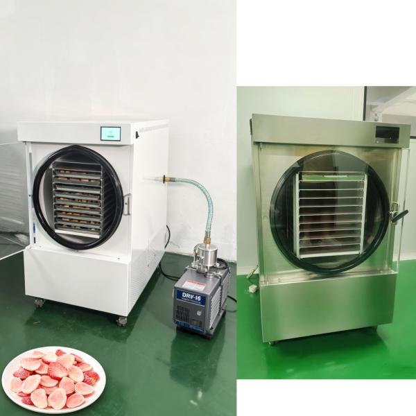 Quality Freeze Drying Household Freeze Dryer with Two-stage Baosi Vacuum Pump and SUS304 Stainless Steel Shell for sale