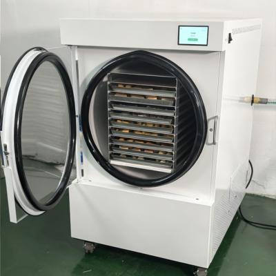 China 220V/1PH/50-60HZ Home Freeze Dryer with LCD Display The Perfect Addition to Your Kitchen for sale
