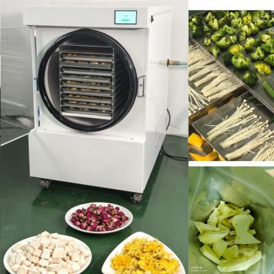 China 24-30 Hours Freeze Dry Cycle Household Freeze Dryer with Two-stage Baosi Vacuum Pump and Vaccum Pump for sale