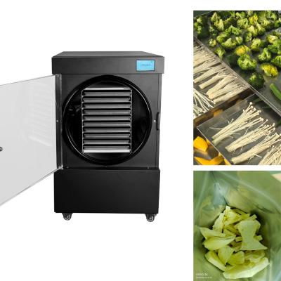 China SUS304 Stainless Steel Shell Small Freeze Dryer for Fast and Precise Drying Process for sale