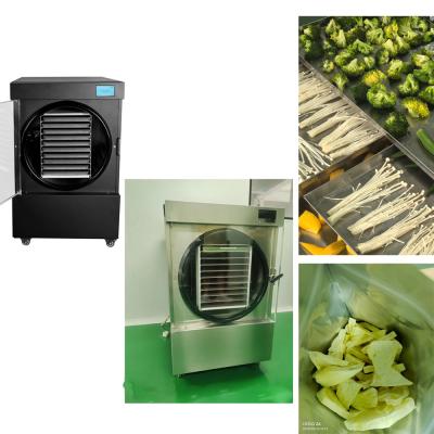 China SUS304 Stainless Steel Shell Home Freeze Dryer Machine for 220V/1PH/50-60HZ Requirements for sale