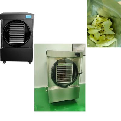 China Advanced 24-30 Hours Freeze Dry Cycle Home Freeze Dryer Machine for sale