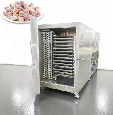 China 100KG Industrial Lyophilizer - High Efficiency Commercial Freeze Dryer with Precise Temperature Control for sale