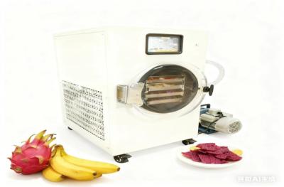 China Home Freeze Drying： Create Long-Lasting Emergency Food & Healthy Snacks for sale