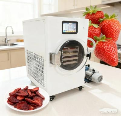 China Home Freeze Drying： Easy to Use, Energy Efficient, & Fits Your Kitchen for sale