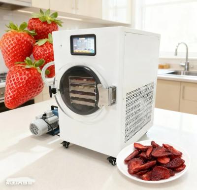 China Smart Freeze Dryer for Home: One-Touch Operation, Quiet, & Simple to Clean for sale