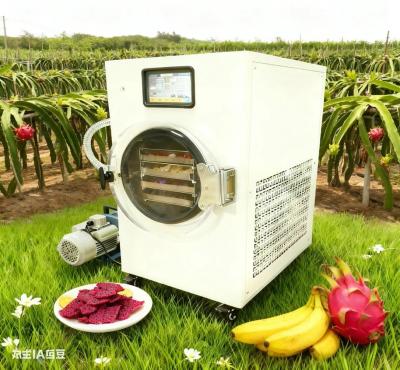 China Build Your Food Storage Freeze Dryer for Families  Prepper Target Audience Families  Security for sale
