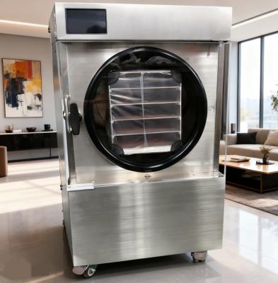 China Mini Freeze Dryer for Long-Term Food Storage Automatic Settings, Easy Clean & Portable Design for sale