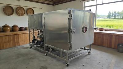 China Electric Heating Vacuum Freeze Dryer Machine Featuring Chamber Size 12700 2600 3300mm Ideal for Drying Sensitive Materials for sale