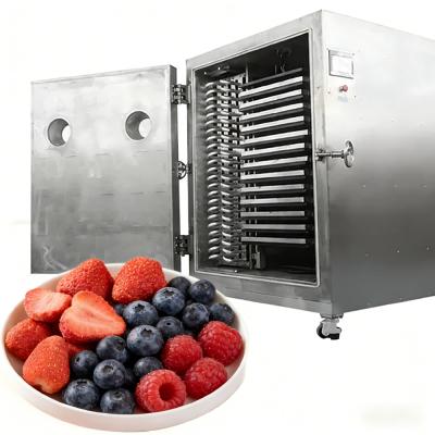 China Automatic Vacuum freeze-drying machine powered by 220V 380V 3PH ideal for  food and chemical drying applications for sale