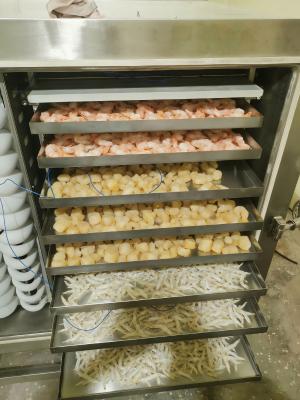 China Automatic industrial freeze dryer featuring 1000kg batch capacity ideal for  food and chemical product preservation for sale