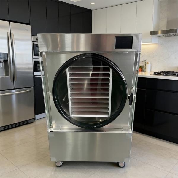 Quality Medium Home Freeze Dryer with SUS304 Stainless Steel Shell Size 1100 1000 1180mm Designed to Maintain Food and Extend Shelf Life for sale