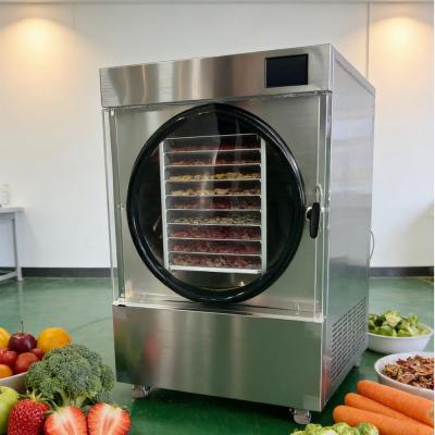 China 220V 1PH 50 60HZ Home Freeze Dryer SUS304 Stainless Steel Capacity 20 25kg Designed for Freeze Drying and Food Storage for sale