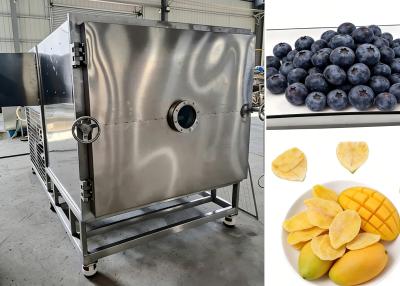 China Freeze-drying Temperature minus 40 to 80 degrees Food Vacuum Freeze Dryer with Food-grade 304 Stainless Steel and Size 3800 1550 1850mm for sale
