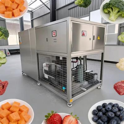 China 3800 1550 1850mm Food Vacuum Freeze Dryer PLC Control System 2600Kg Capacity Perfect for Large Scale Food Freeze Drying for sale