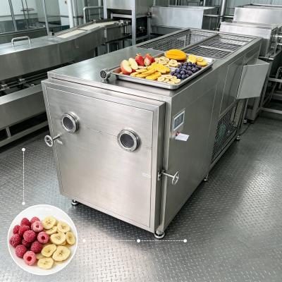 China Automatic Vacuum freeze-drying machine noise level 70dB engineered for  food and chemical drying applications for sale