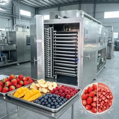 China Or Leybold refrigeration unit freeze dryer designed for 20 to 24 hours drying time ensuring moisture removal process for sale