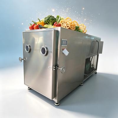 China 220V 380V 3PH Freeze Dryer Machine Combined with  Or Leybold Refrigeration Unit Ensuring Performance And Durability for sale