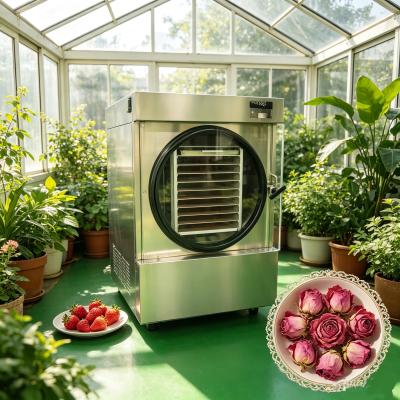 China 220V 1PH 50 60HZ Home Freeze Dryer Machine 3600W Efficiently Preserves Fruits Vegetables and Meals for Extended Shelf Life for sale