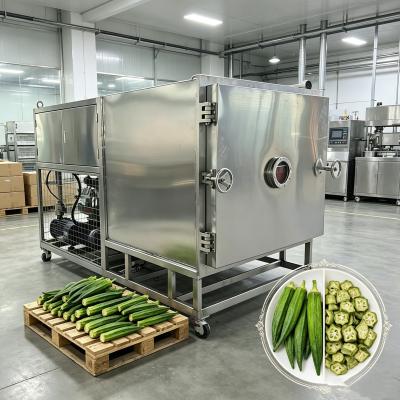 China Freeze drying time 18 to 22 hours batch Vegetable freeze dryer including two stage rotary vane vacuum pump perfect for preserving vegetables for sale
