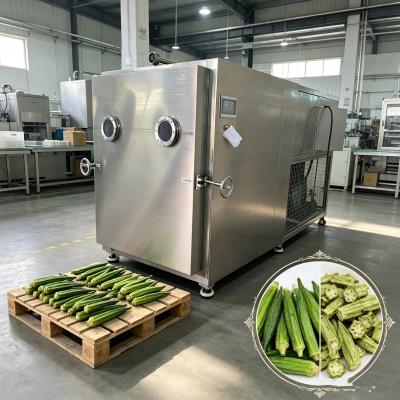 China Air Cooling Vegetable Freeze Dryer Featuring PLC Control System Ensuring Freeze Dried Vegetables with Minimal Processing Time for sale