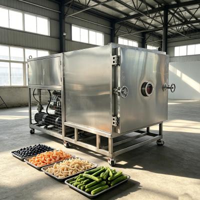 China EXW automatic operation Vegetable freeze dryer ideal for maintaining vegetable freshness and during freeze drying process for sale