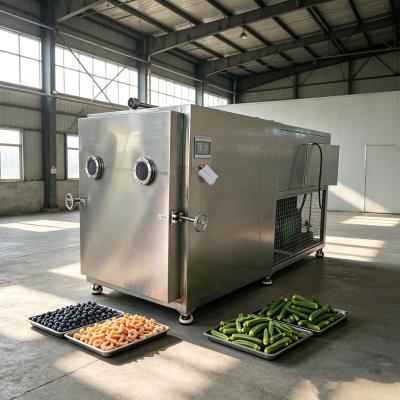 China 100Kg batch capacity Vegetable freeze dryer engineered for large scale vegetable dehydration supported by CIF trade terms for sale