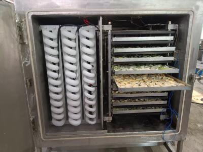 China 100kg Batch Fruit Powder Freeze Dryer Machine Industrial Vacuum Lyophilizer for Puree Ingredient Drying for sale