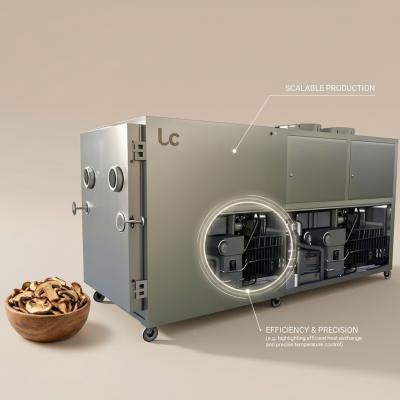 China Industrial Mushroom Freeze Dryer 100kg Batch Vacuum Freeze Drying Machine for Edible Fungi Herbs for sale