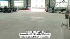 100kg Heavy Duty Freeze Dryer For Business