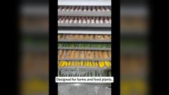 100kg Commercial Freeze Dryer For Food