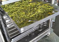 Secador industrial de congelação de alimentos 200 kg/lotação Controlo PLC Ar de arrefecimento