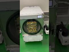 220V/1PH/50-60HZ Home Freeze Dryer with LCD Display The Perfect Addition to Your Kitchen