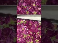 Home Freeze Drying： Easy to Use, Energy Efficient, & Fits Your Kitchen