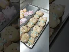 Home Freeze Dryer