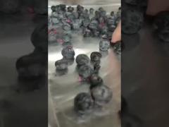 Watch: Industrial Lyophilizer Precision Drying for High-Value Ingredients  Bulk Contract singe