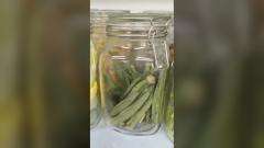 Home Freeze Dryer 25 Year Freshness