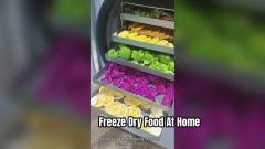 Home Freeze Dryer Preserve Food Good