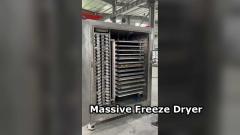 Industrial Freeze Dryer Boosts Food Production