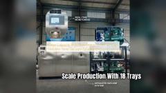 Industrial 18 Tray Freeze Dryer for Bulk Food Production