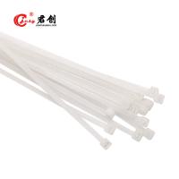 China High Security Cable Tie 2.5x100 mm Tamper Evident Plastic Seal for Industrial Use for sale