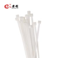 China High Security Cable Tie 2.5x100 mm Tamper Evident Plastic Seal for Industrial Use for sale