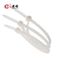 China High Security Cable Tie 2.5x100 mm Tamper Evident Plastic Seal for Industrial Use for sale