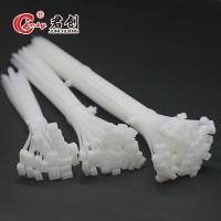 China Self-Locking PA6 Nylon Cable Tie 100pcs per Bag Reusable Wire Organizer for sale