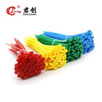 China Reusable Coloured Zip Ties Self Locking Nylon Cable Customized for sale