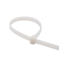 China Customized Color Nylon Cable Tie Anti Skid Security Lock 100pcs per Bag for sale