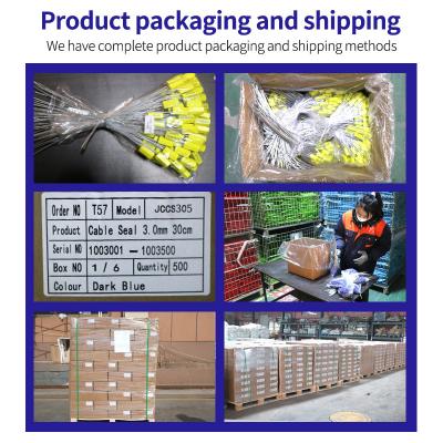 中国 JCCS305 disposable customs cable container seal hexagonal plastic cable seal for logistic 販売のため