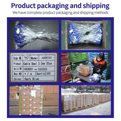 Cina JCCS203 security container seal cable seal suppliers disposable cable seal in vendita